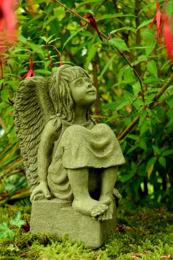 Fairies - Devonshire Stone